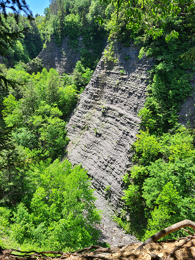 Dramatic rock walls tell Earth's story in sedimentary layers. This geological masterpiece took millions of years to perfect—talk about patience!