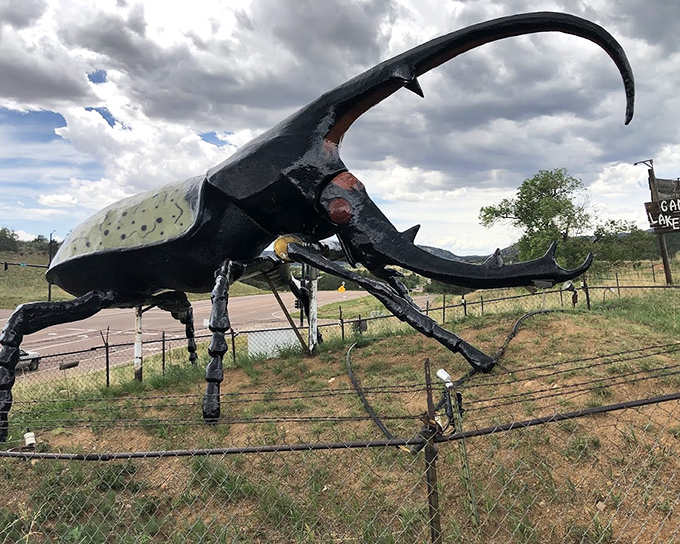 The side profile reveals Herkimer's impressive engineering &ndash; part roadside attraction, part monument to nature's most armored creatures.