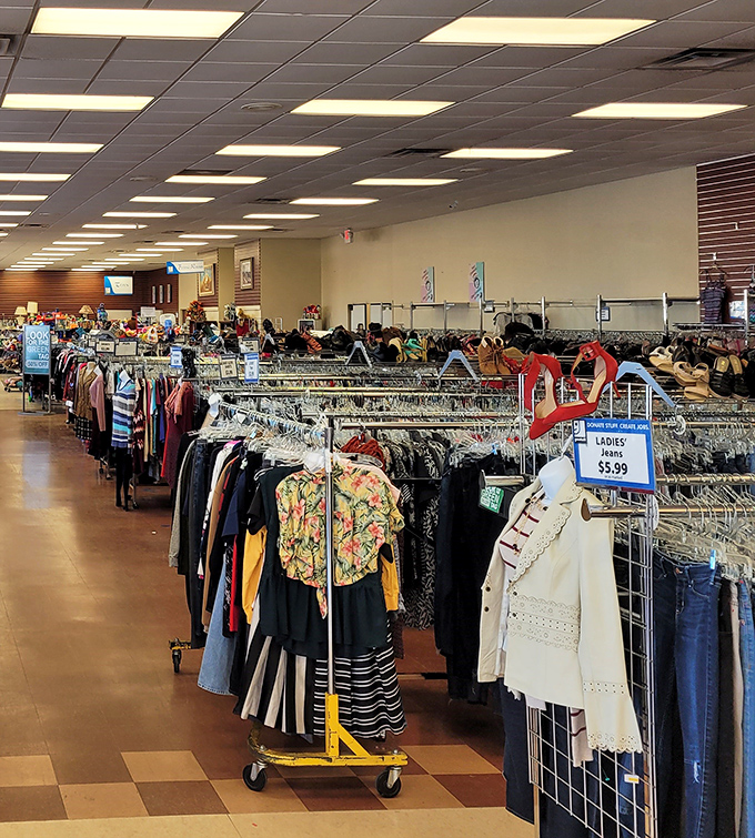 The clothing forest stretches to the horizon. Each rack a different expedition, each hanger potentially holding your next favorite outfit.