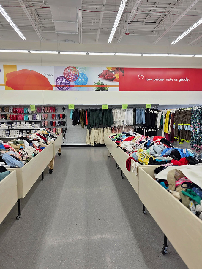 "Low prices make us giddy" isn't just a slogan&mdash;it's a scientific fact. These clothing bins are like geological layers, each one hiding potential fashion fossils.