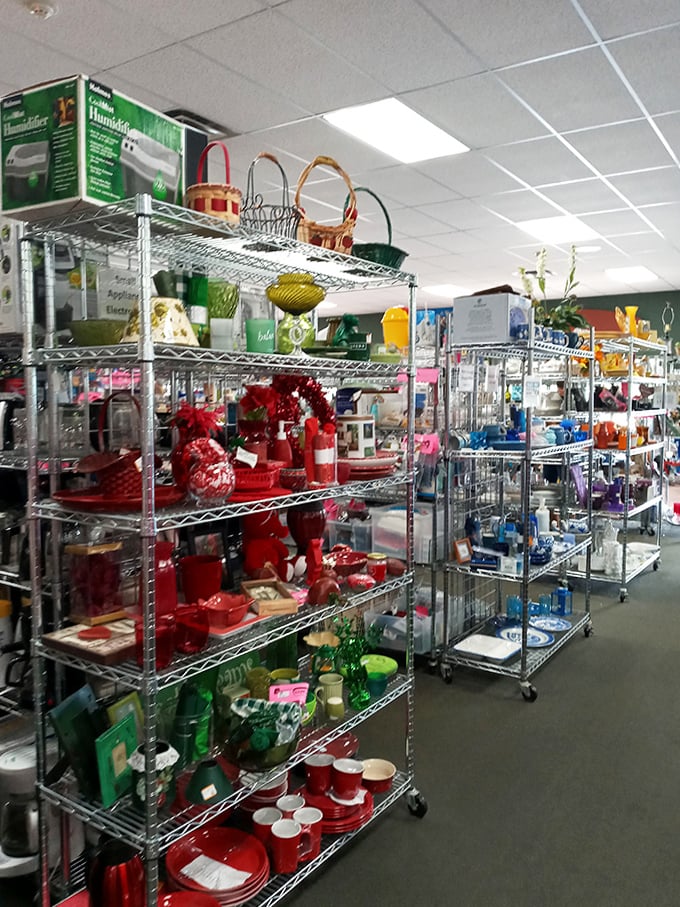 Color-coded kitchen treasures await discovery, organized with the precision of a master chef's mise en place.
