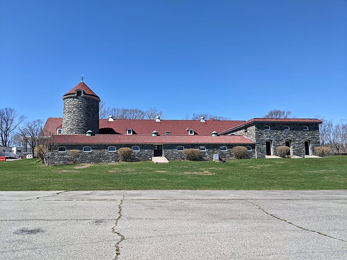 Stone walls and rustic charm define Colt State Park, where Rhode Island's natural beauty meets historical significance in perfect harmony.