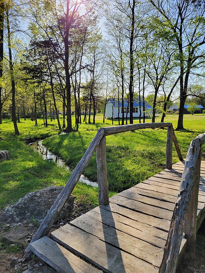 A simple wooden footbridge invites you to slow down and appreciate the gentle stream. Nature's version of a stress management seminar.