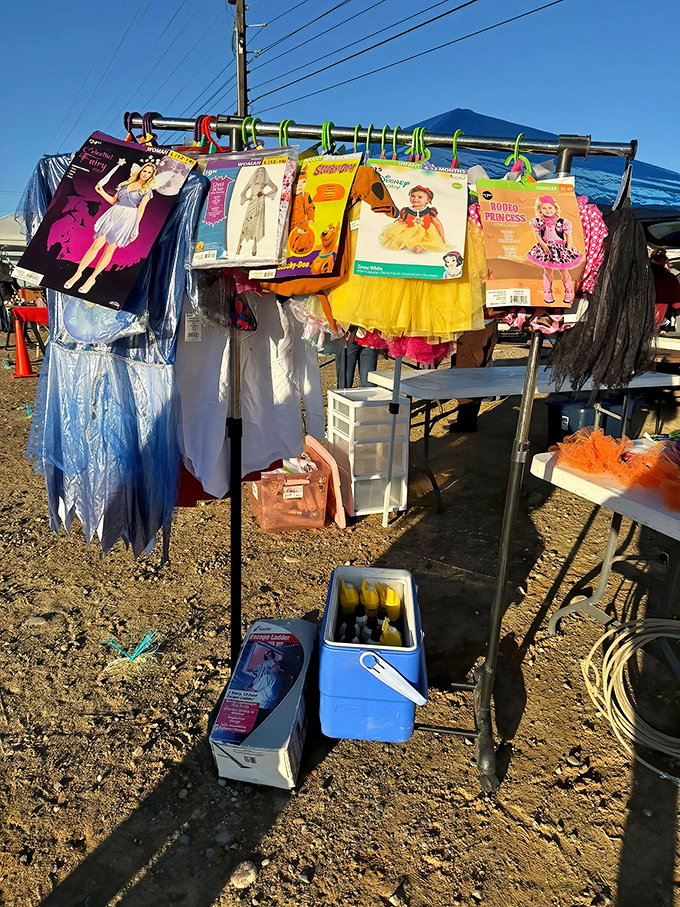 Halloween costumes await their moment in the spotlight. Who knew $35 could transform you into everything from Elsa to a rodeo princess?