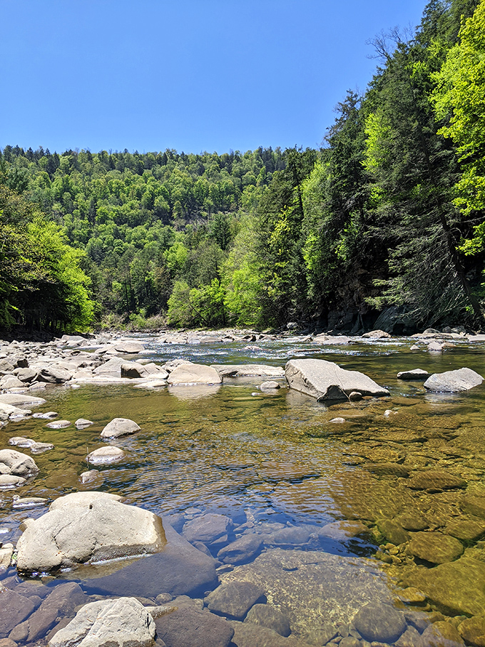 Rock-hopping paradise where every stone tells a geological story. The shallow, sun-dappled waters invite even the most dedicated city-dwellers to wade in. 