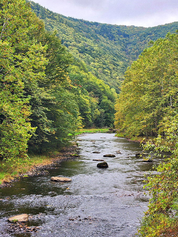 Kettle Creek flowing through the valley like nature's own highway, inviting you to follow its winding path.