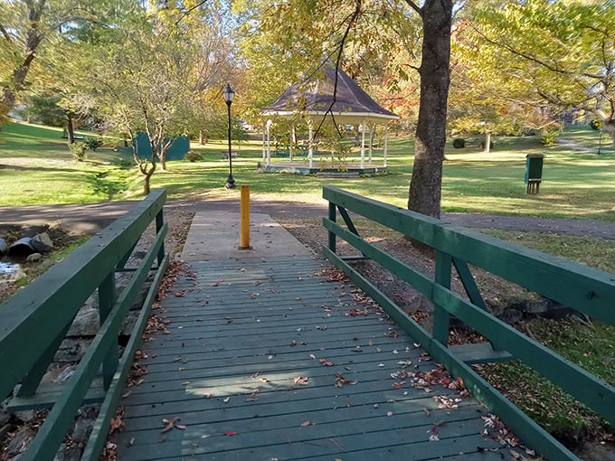 This footbridge in Swift Park practically begs you to cross it, promising a gazebo reward and the kind of autumn scenery that makes leaf-peeping an Olympic sport.