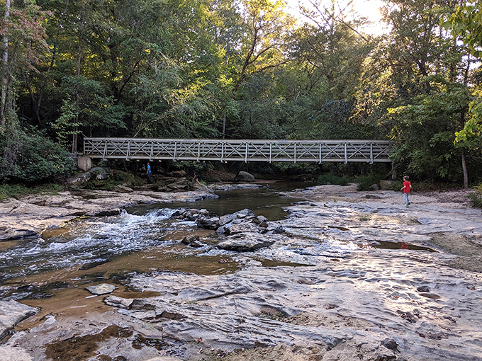 3. croft state Nature's own meditation space—Croft State Park's gentle waters invite contemplation and the occasional brave toe-dip on hot summer days.