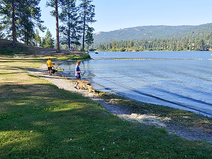 Curlew Lake's shoreline offers the perfect blend of serenity and recreation, where fishing isn't just a hobby&mdash;it's practically the town meeting.