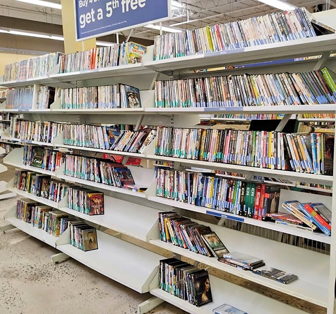 The DVD and CD collection stretches endlessly, a nostalgic reminder that physical media isn't quite extinct yet.