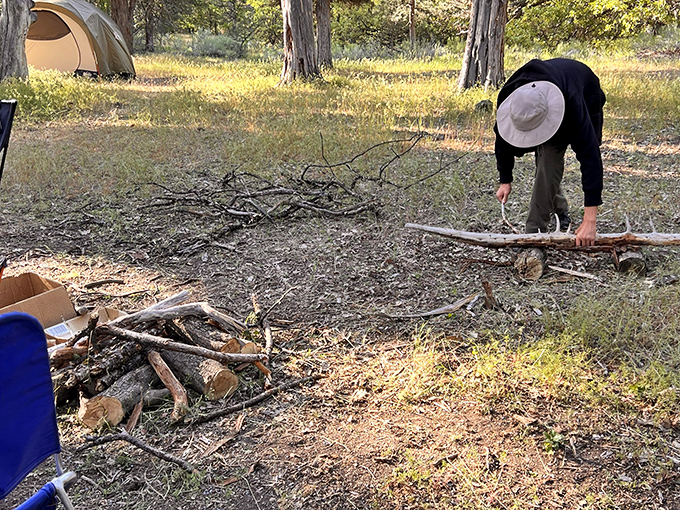 The universal camping truth: gathering firewood is half meditation, half treasure hunt. The forest provides both fuel and therapy.