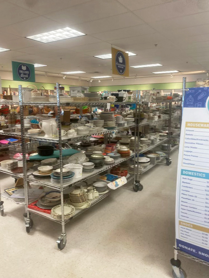 Dish department dreams come true with endless possibilities for mixing, matching, and creating your own eclectic tabletop story.