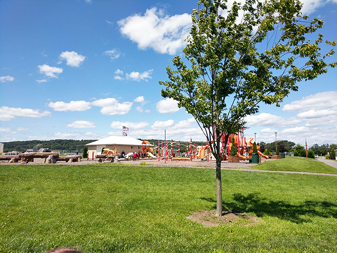 East Snyder Park offers the perfect antidote to doomscrolling—actual scrolling across green grass under a sky that's naturally blue, no filter needed.
