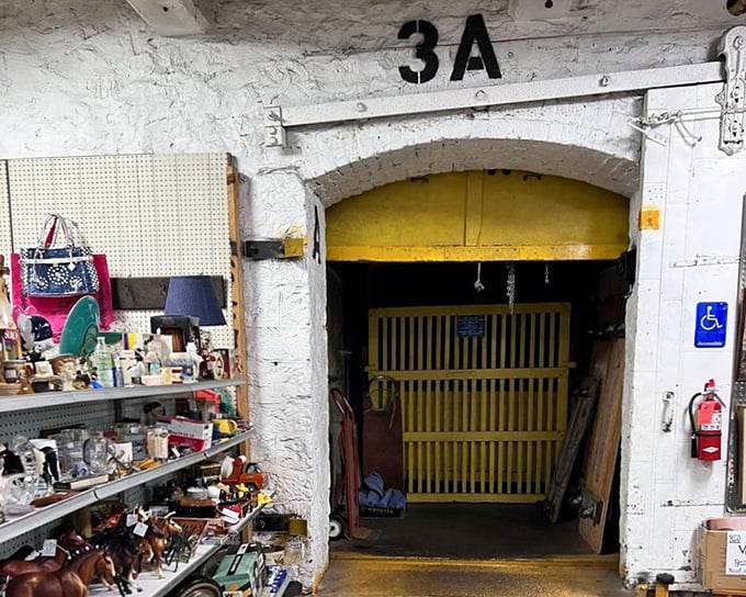 Door 3A: where the yellow gate isn't keeping treasures in, but inviting curious souls to venture deeper into the rabbit hole.