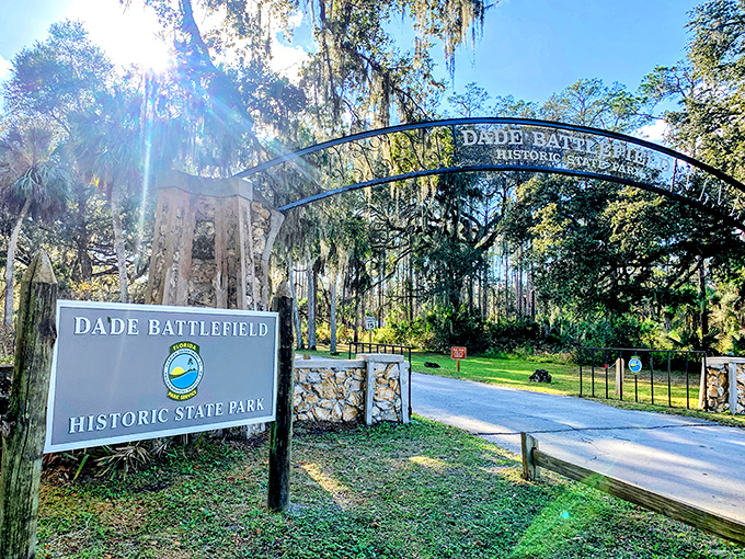 Florida sunshine illuminates the park's welcoming gateway, where history and nature have been having a lovely conversation for nearly two centuries.