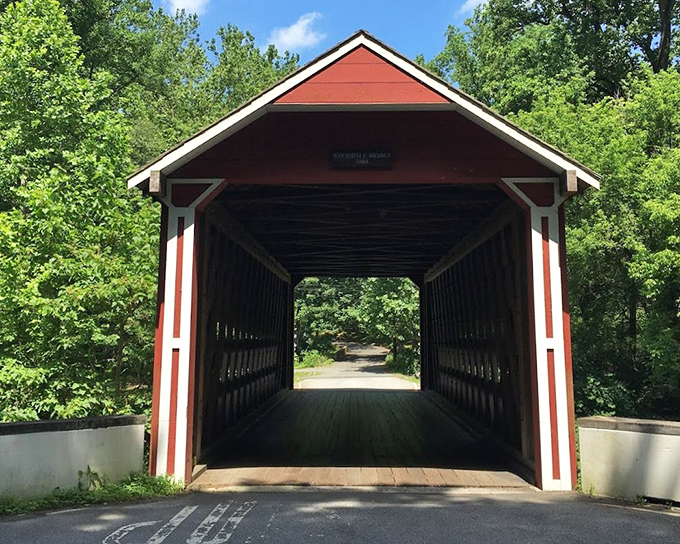 Framing the world beyond like a living postcard, the bridge's entrance offers a tantalizing glimpse of the scenic journey ahead.
