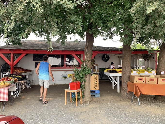 Nature's candy store awaits under the shade trees, where farm-fresh produce outshines any mall food court you've ever visited.