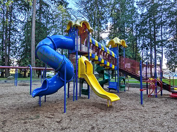 Ferguson Park's playground equipment stands ready for tiny adventurers &ndash; childhood joy engineered in primary colors and spiral slides.
