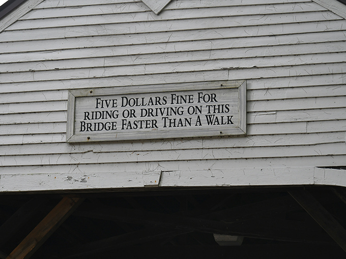 "Five dollars fine for riding or driving faster than a walk." Some traffic laws truly stand the test of time!