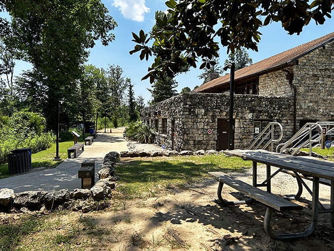 Florida Caverns State Park: where Mother Nature decided Florida needed some geological bragging rights beyond just "flat and sandy."
