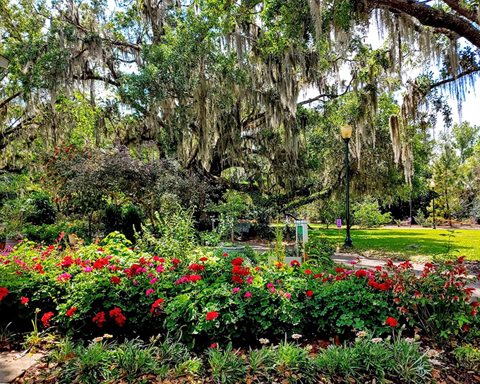 Spanish moss drapes over centuries-old oaks while vibrant red flowers below create nature's perfect color palette. Monet would approve.