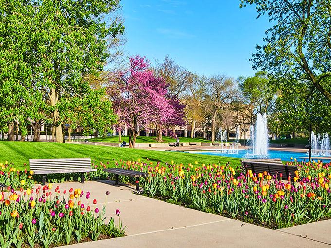 Freimann Square bursts with tulips in spring, creating a kaleidoscope of color that would make even the Netherlands jealous.