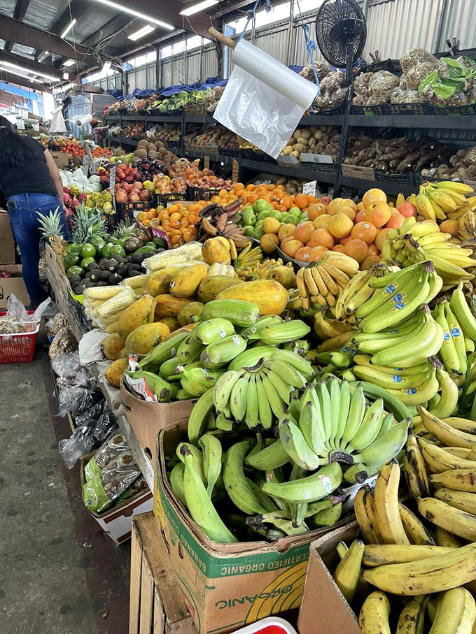 Nature's candy counter! These fresh fruits aren't just photogenic&mdash;they're the real deal, bursting with flavors that supermarket produce can only dream about.