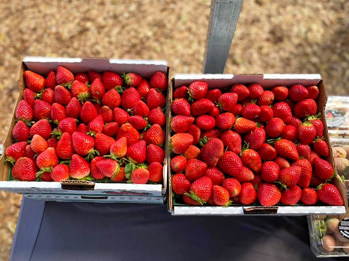 These aren't just strawberries; they're edible rubies that make jewelry look pointless. Each box contains more natural sweetness than a Hallmark movie marathon.