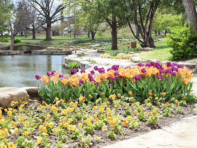 Gage Park's tulips don't just bloom &ndash; they throw a full-on color party that would make Monet reach for his paintbrush. 