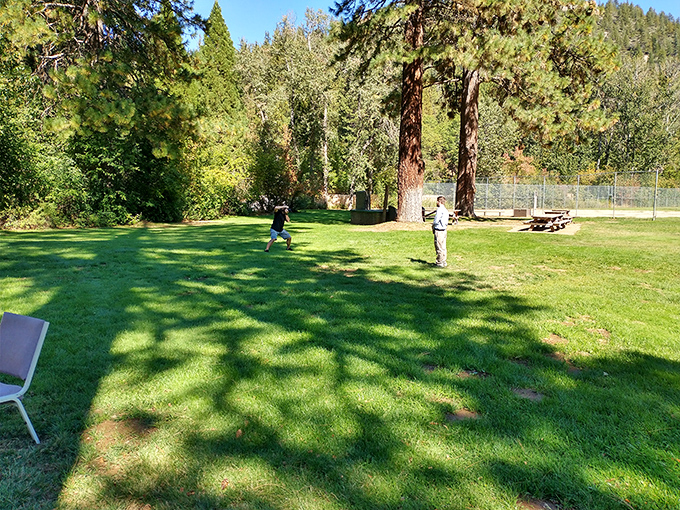 Nothing says "small-town America" quite like locals tossing a frisbee in Gansner Park, where towering pines cast dappled shadows on grass that's greener than your neighbor's lawn.