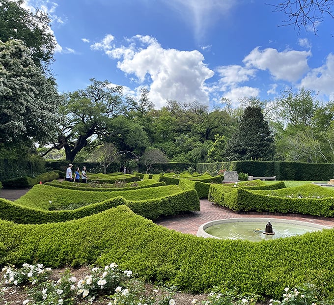 These meticulously manicured hedges aren't just showing off—they're practically botanical architecture. The perfect spot for contemplating life's big questions or just enjoying a moment of zen.