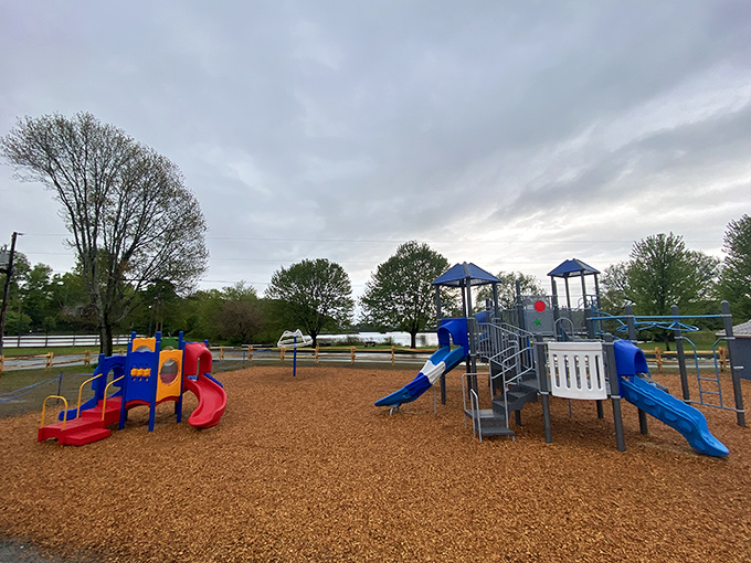 Gardner Memorial Park offers childhood joy without the need for batteries or Wi-Fi. Remember when fun was this simple?