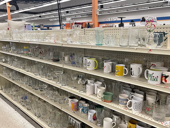 A glass menagerie awaits new homes &ndash; from everyday tumblers to quirky mugs that once told someone else's morning coffee stories.