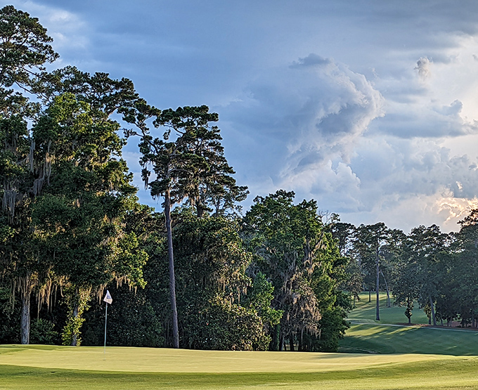 Golf enthusiasts find paradise at Glen Arven Country Club, where Spanish moss drapes the fairways like nature's own decorative touch.