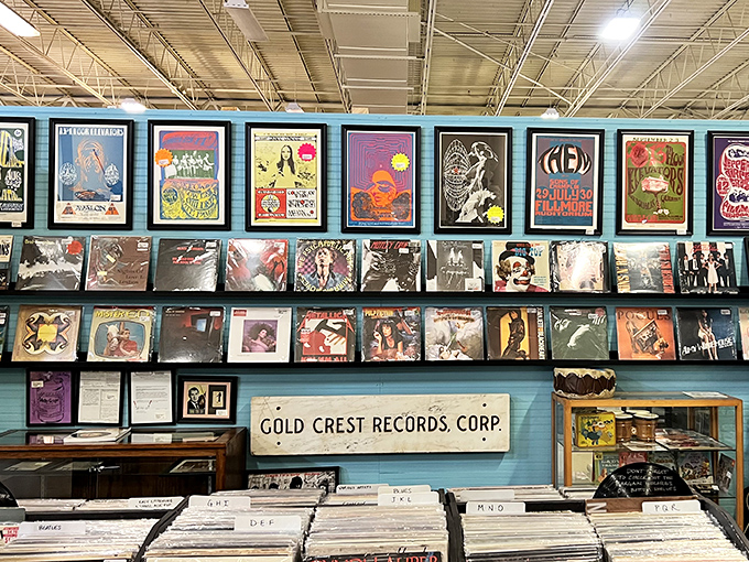 Vinyl heaven awaits music lovers at the Gold Crest Records section, where album art still matters and digital streaming feels like sacrilege.
