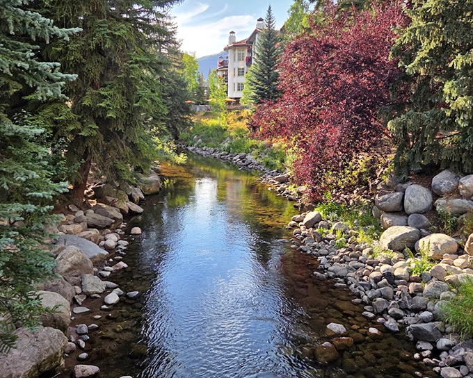 Gore Creek's crystal-clear waters reflect autumn's palette, creating a double dose of Colorado splendor that would make Bob Ross reach for extra paint.