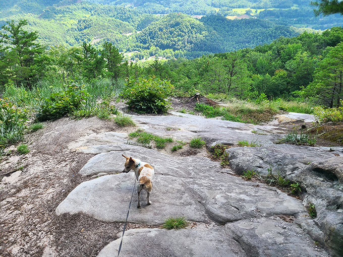 Even four-legged adventurers appreciate the views along Kingdom Come's rocky trails. This pup's thinking, "Who needs dog parks when you've got this?"