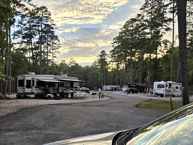 Retirement goals: Perfecting your putt on immaculate greens while wildlife watches from the sidelines, probably judging your form.