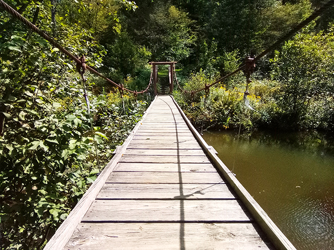 This suspension bridge isn't just a crossing&mdash;it's an invitation to adventure that creaks with possibilities and whispers of exploration.
