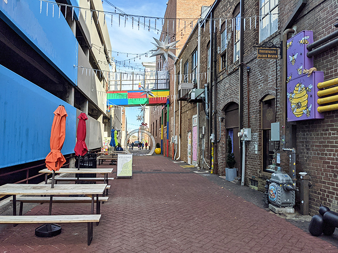 Vibrant alleyways downtown showcase local art and creative spaces that'd cost triple elsewhere while looking half as interesting.