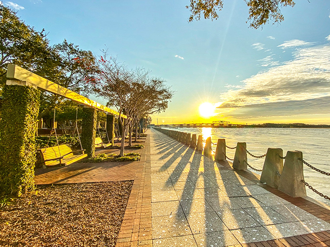 The waterfront park at sunset transforms ordinary benches into front-row seats for nature's most spectacular light show.