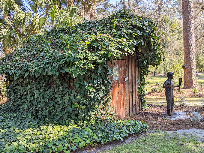 Mother Nature's ultimate makeover show: an ordinary wooden shed transformed into a fairytale cottage with nothing but ivy and imagination.