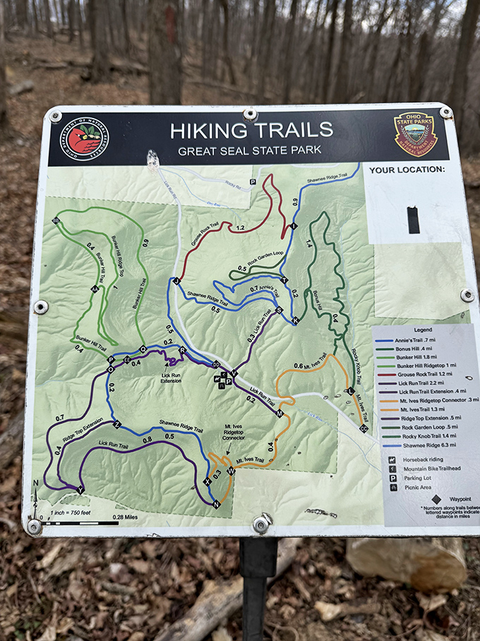 Trail maps: where the phrase "just a little further" reveals itself as the greatest lie ever told to hiking companions.