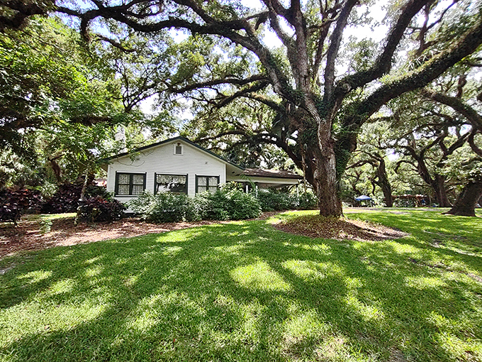 The historic Wray Home stands as a charming time capsule of old Florida, when ceiling fans and wide porches were the original air conditioning.