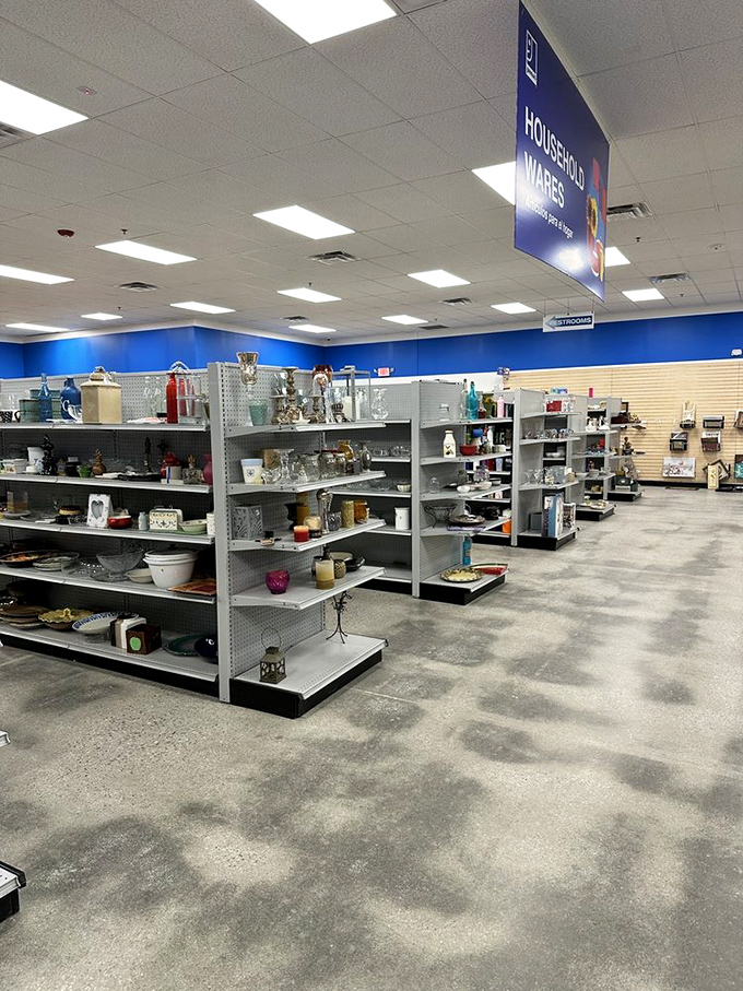 The housewares section: where your grandmother's forgotten serving dish and your next conversation piece live harmoniously side by side.