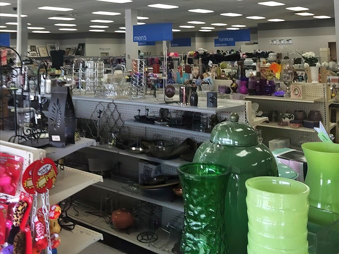 Housewares heaven stretches endlessly, each shelf holding someone's former kitchen dreams at bargain basement prices.