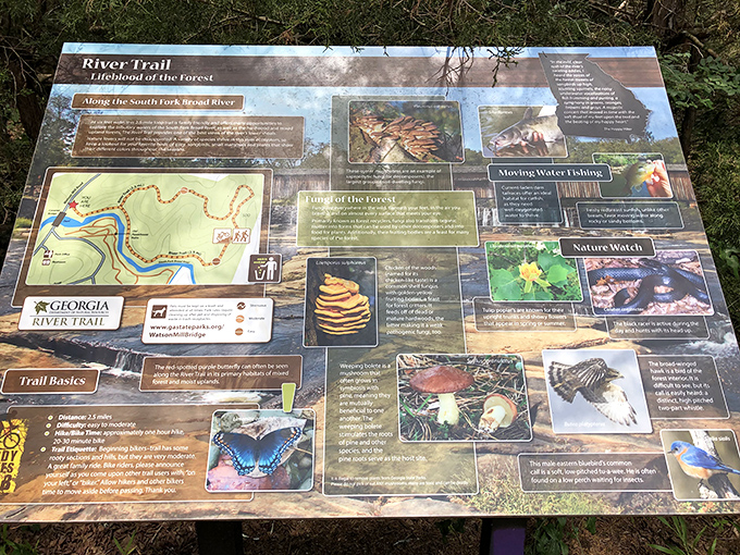 Educational trail signs: proof that learning about nature beats scrolling through your phone for the hundredth time today.