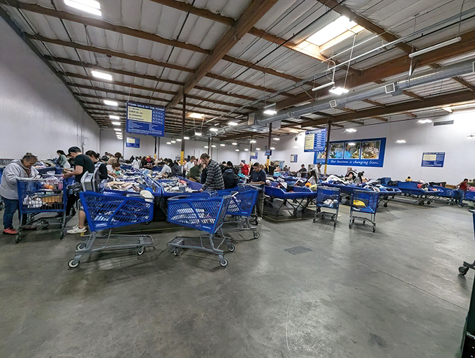 The modern-day gold rush happens here daily. Shoppers strategically position their carts like prospectors staking claims in this vast sea of possibility. 