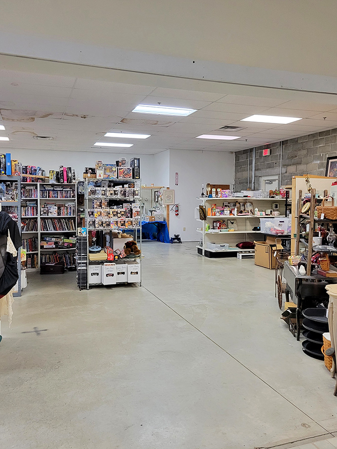 Wide aisles and organized chaos – the perfect recipe for discovery. Each shelf holds potential treasures waiting for the right person to find them.