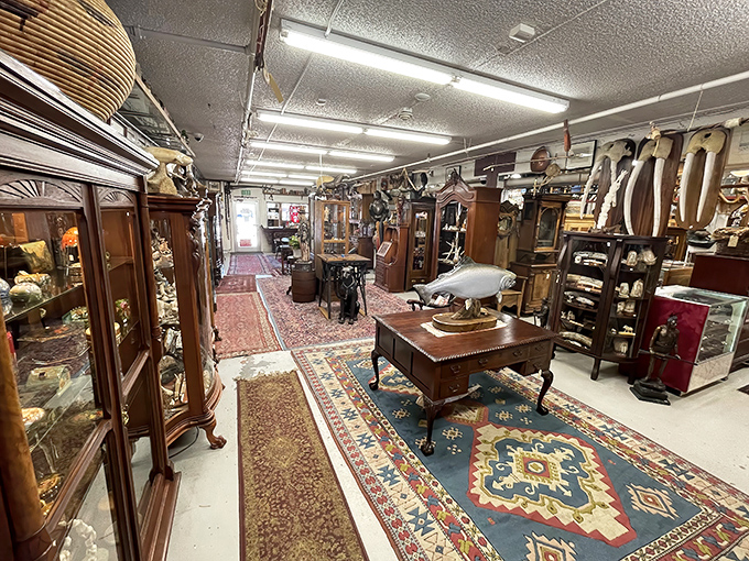Oriental rugs guide you through aisles of history where every cabinet and curio has a story just waiting to be adopted.